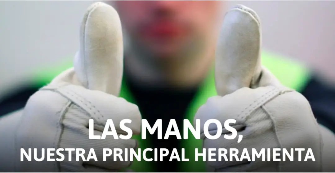Por Qué Es Importante El Cuidado De Las Manos – SYDT
